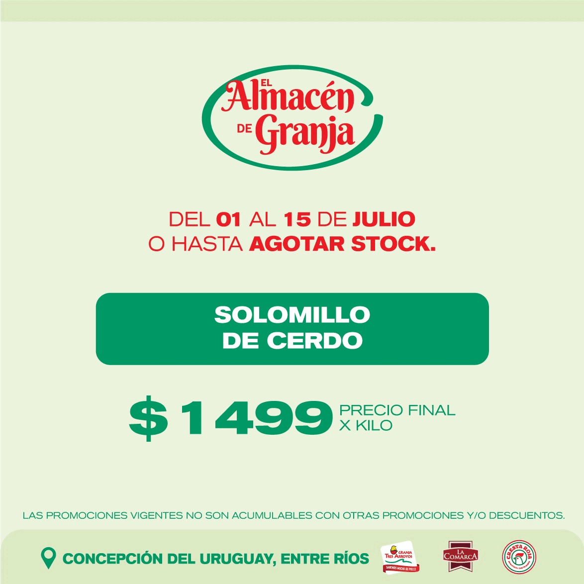 Qué comen y cómo se alimentan los pollos – Cadena Avicola